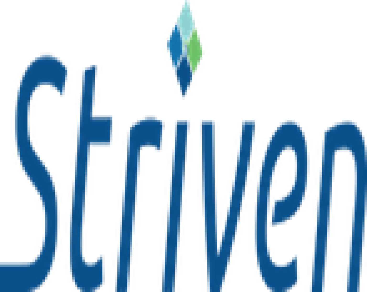 Striven Reviews 2025: Pricing & Demo & Software Alternatives — FunGTU